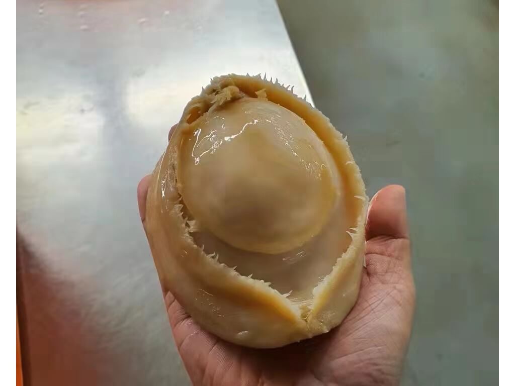 Dover EX27 - Our Products