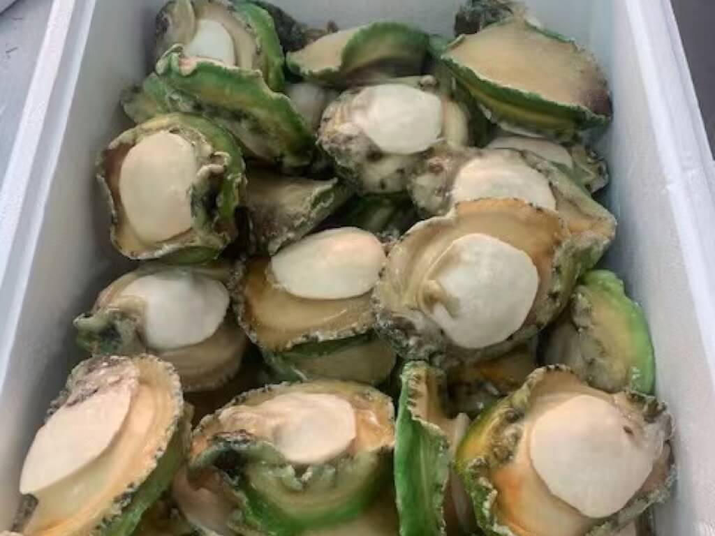 Dover EX27 - Our Products